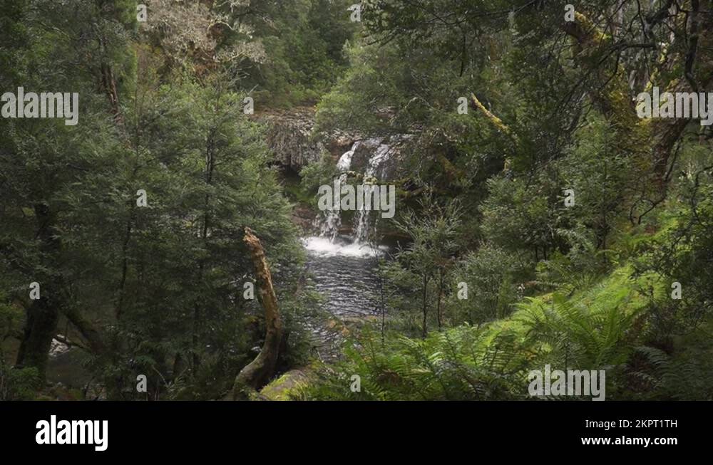 Ledge waterfall Stock Videos & Footage - HD and 4K Video Clips - Alamy