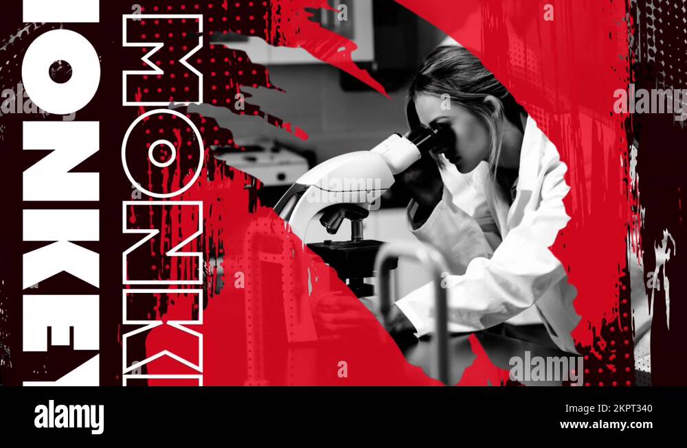 Monkeypox scientist Stock Videos & Footage - HD and 4K Video Clips - Alamy
