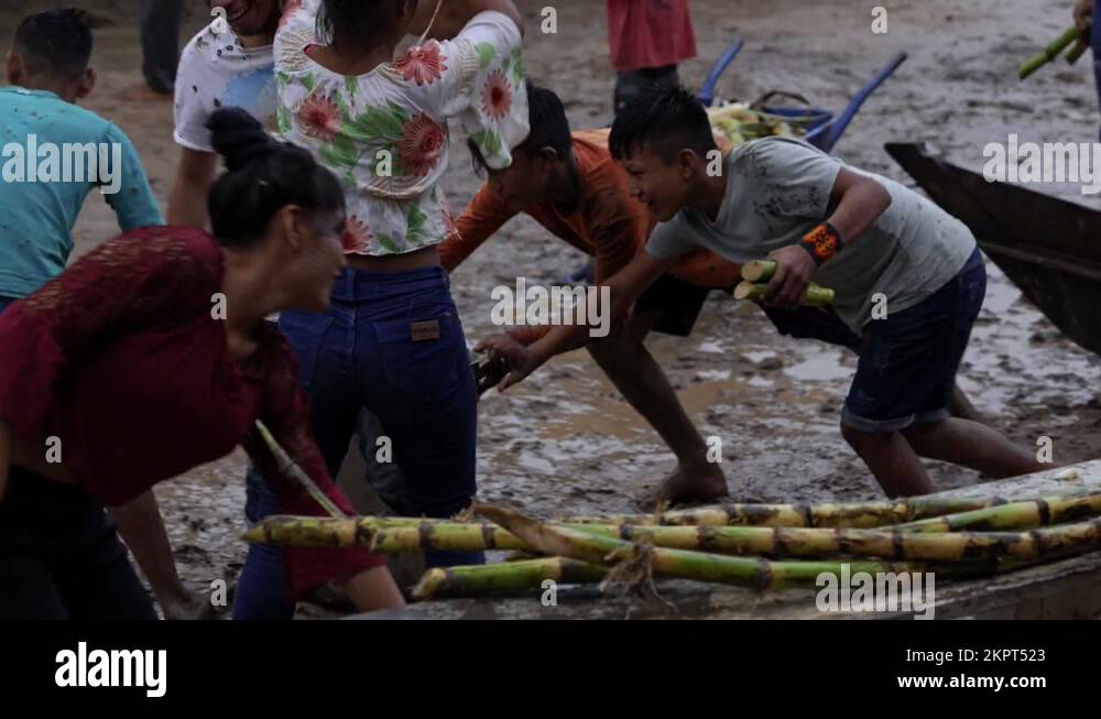 Brazilian indigenous people working Stock Videos & Footage - HD and 4K ...