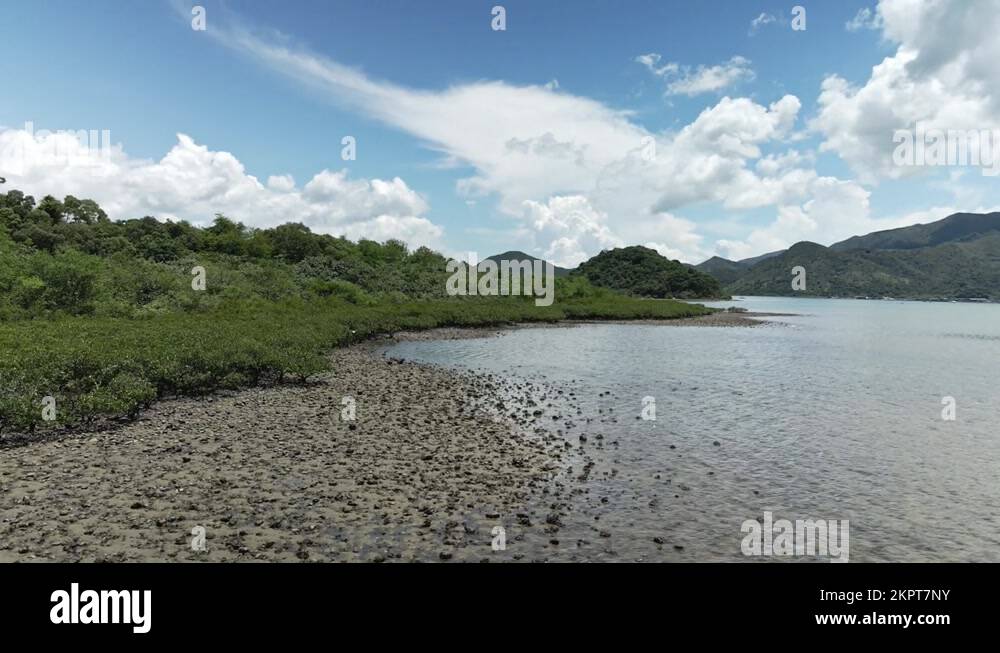 UNESCO Global Geopark in Sai Kung, Hong Kong, with Mangrove Forest ...