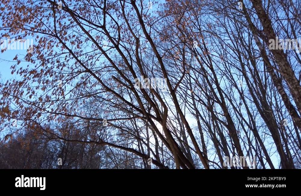 Backdrop of the sky Stock Videos & Footage - HD and 4K Video Clips - Alamy