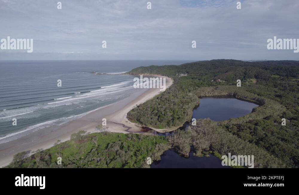 Nsw nature reserve Stock Videos & Footage - HD and 4K Video Clips - Alamy