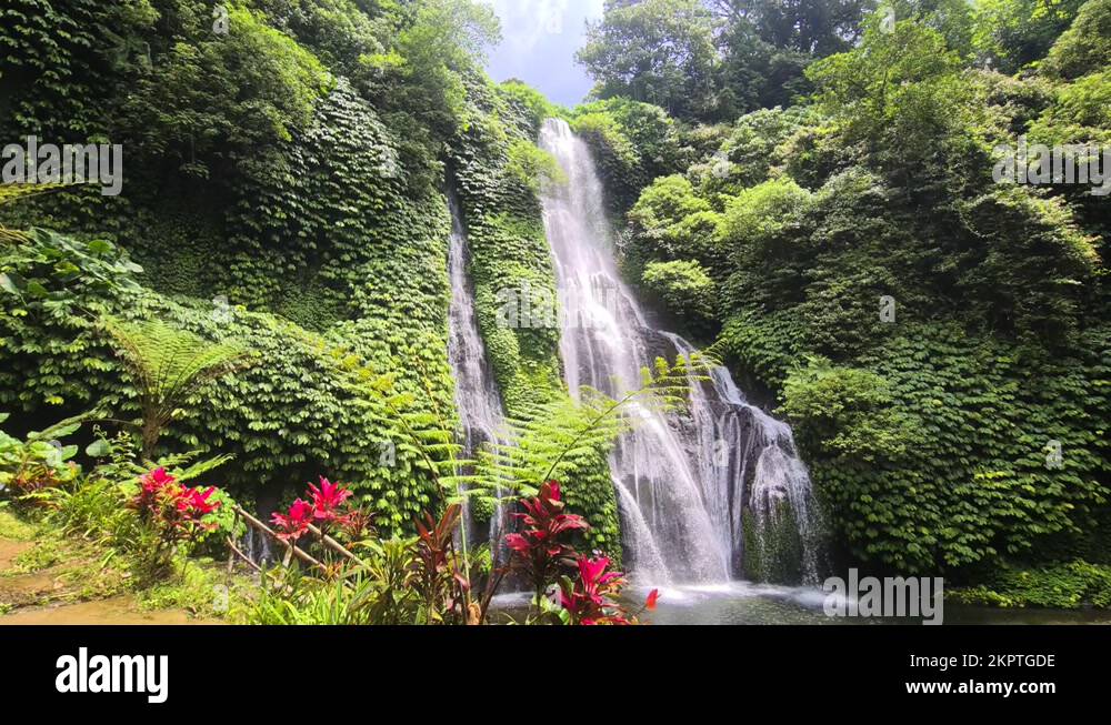 Banyumala Twin Waterfalls, Bali Island, Indonesia. Majestic Falls in ...