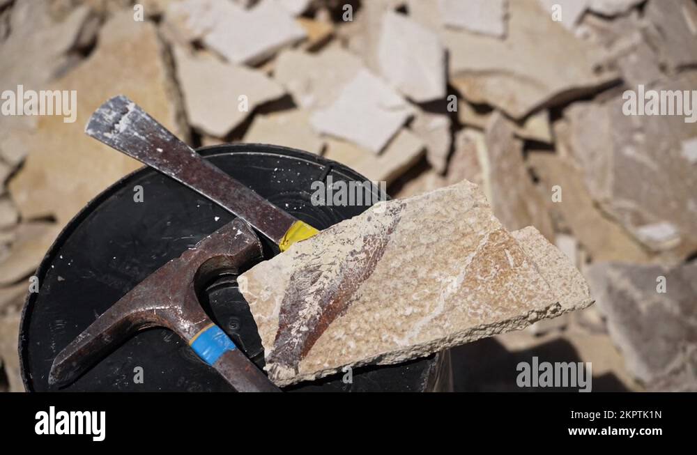 Fossil fish scales Stock Videos & Footage - HD and 4K Video Clips - Alamy