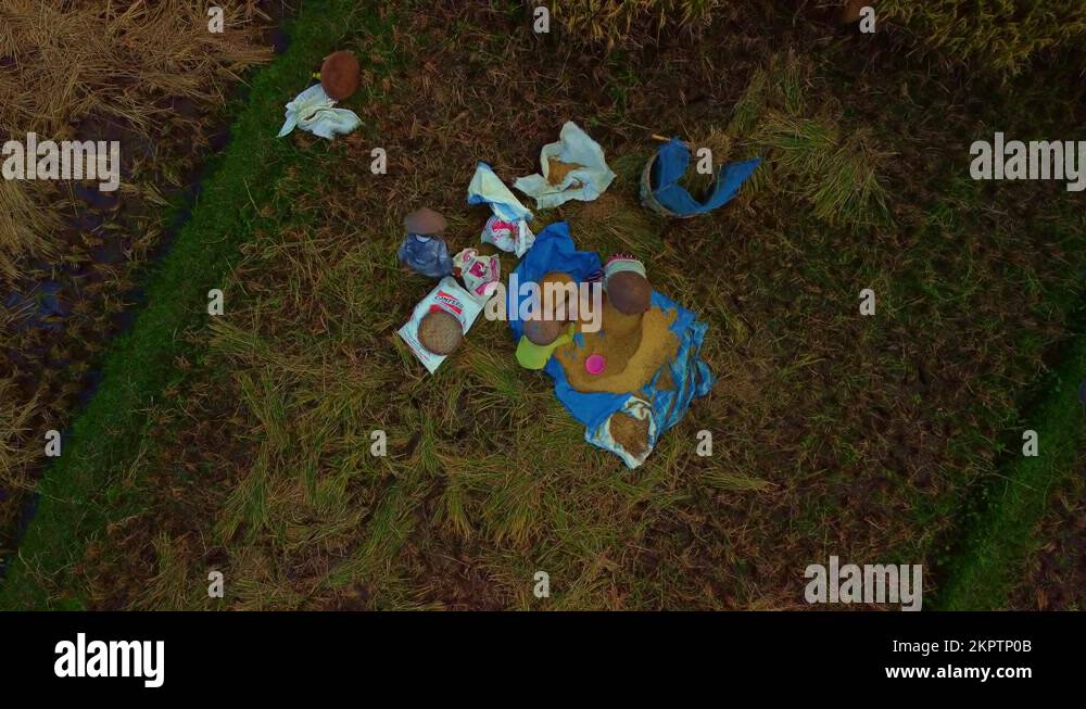 Traditional rice hat Stock Videos & Footage - HD and 4K Video Clips - Alamy