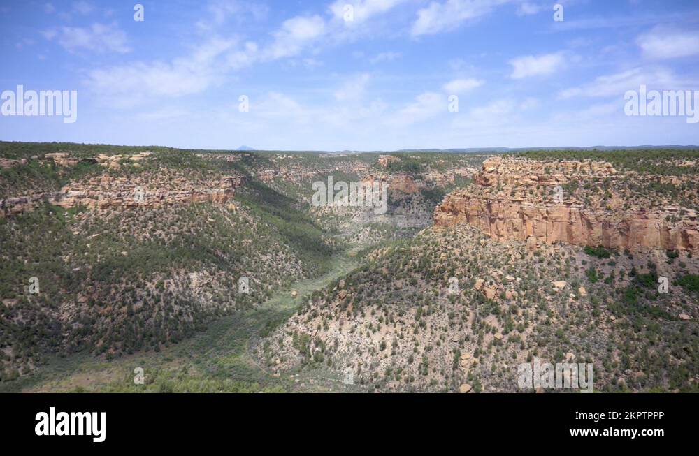 Point verde Stock Videos & Footage - HD and 4K Video Clips - Alamy