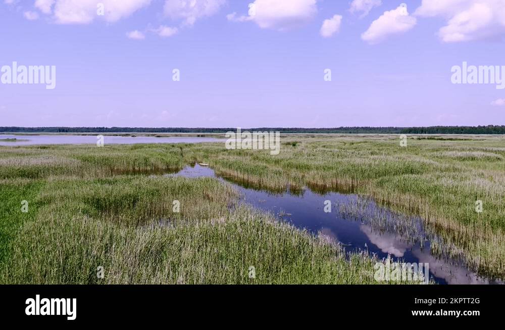 Reed trail Stock Videos & Footage - HD and 4K Video Clips - Alamy