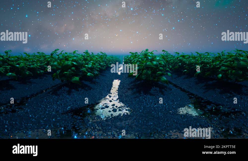 Plants for wet soil Stock Videos & Footage - HD and 4K Video Clips - Alamy