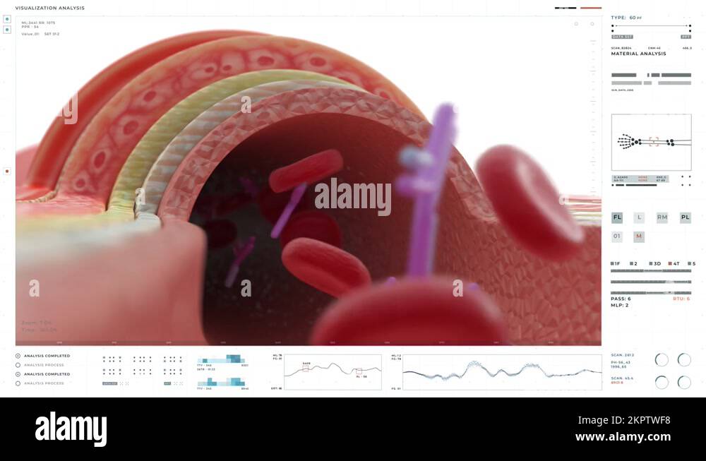 Microscope artery Stock Videos & Footage - HD and 4K Video Clips - Alamy