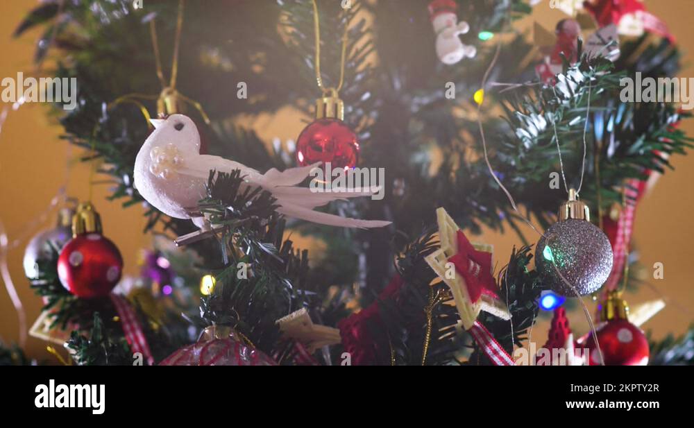 Chicken family tree Stock Videos & Footage - HD and 4K Video Clips - Alamy