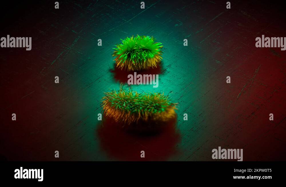 Looping animation with two fuzzy green bugs moving in circles. Furry ...