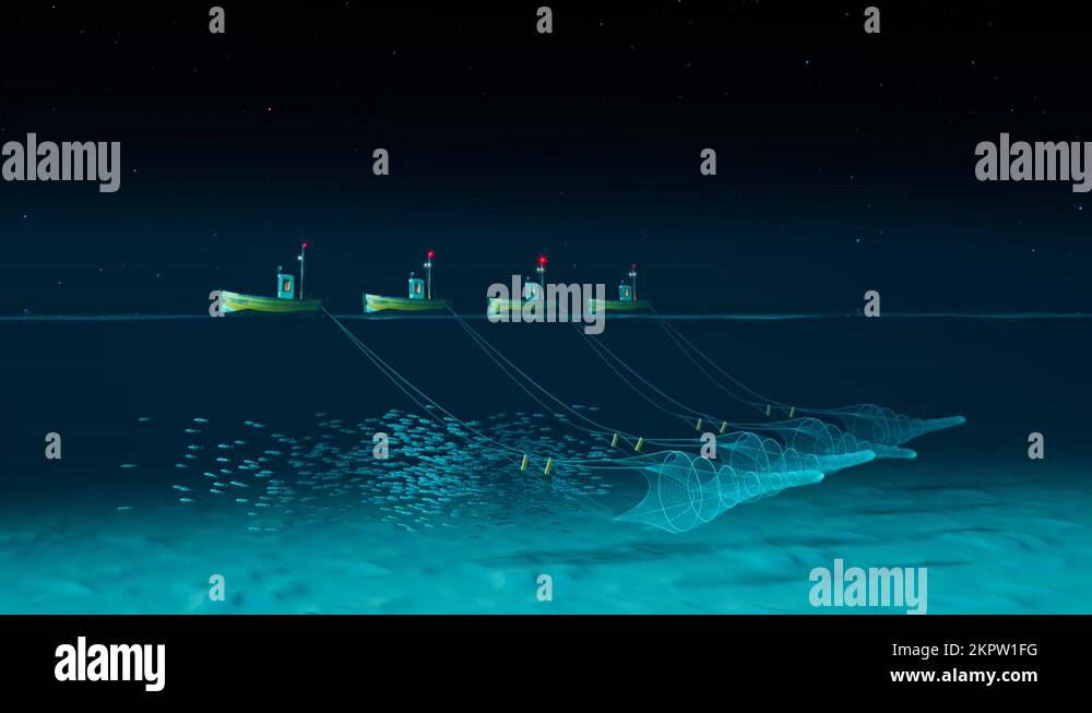 Deep sea cross section Stock Videos & Footage - HD and 4K Video Clips ...