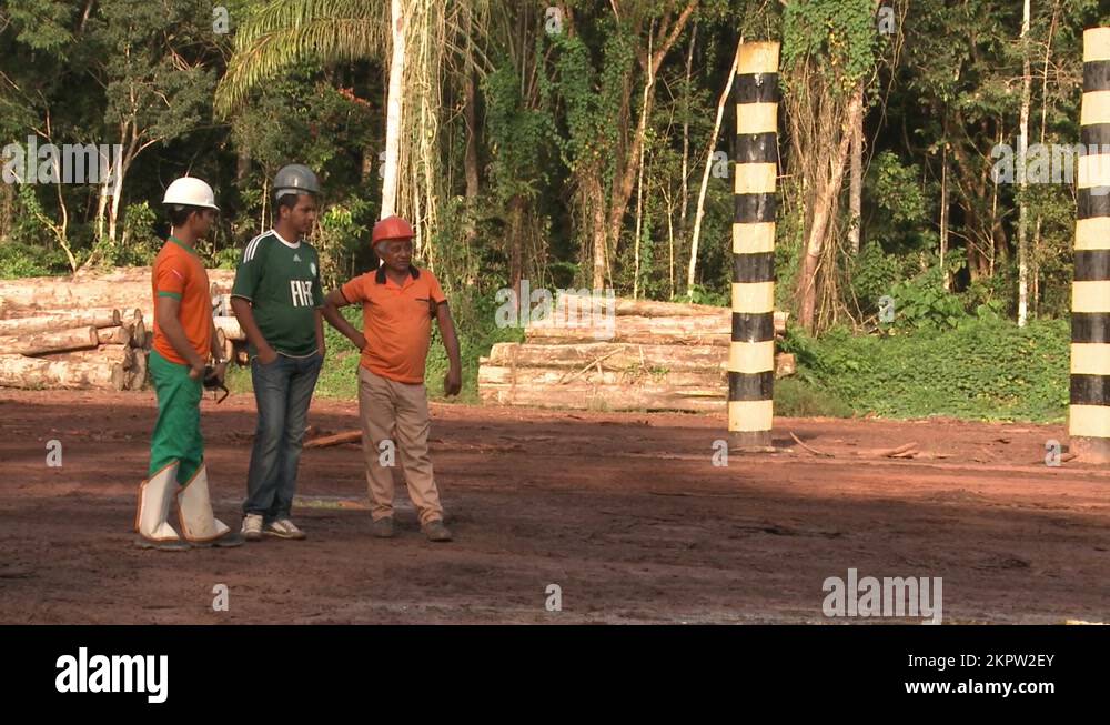 Loggers at a sawmill in the Amazon rainforest - concept: deforestation ...