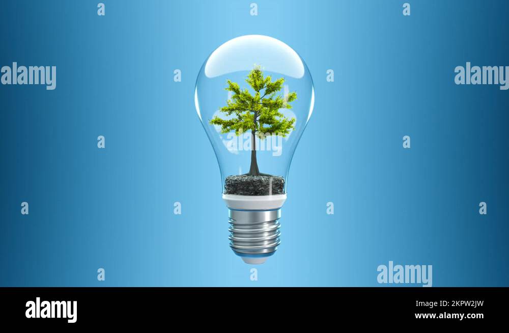 Tree in light bulb Stock Videos & Footage - HD and 4K Video Clips - Alamy