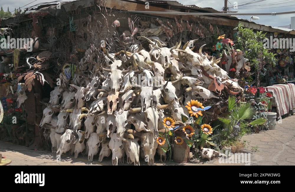 Mexican cow Stock Videos & Footage - HD and 4K Video Clips - Alamy