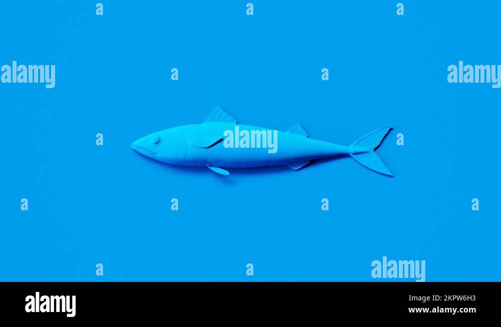 Simple blue monochromatic animation of fish. Mackerel. Fresh seafood ...