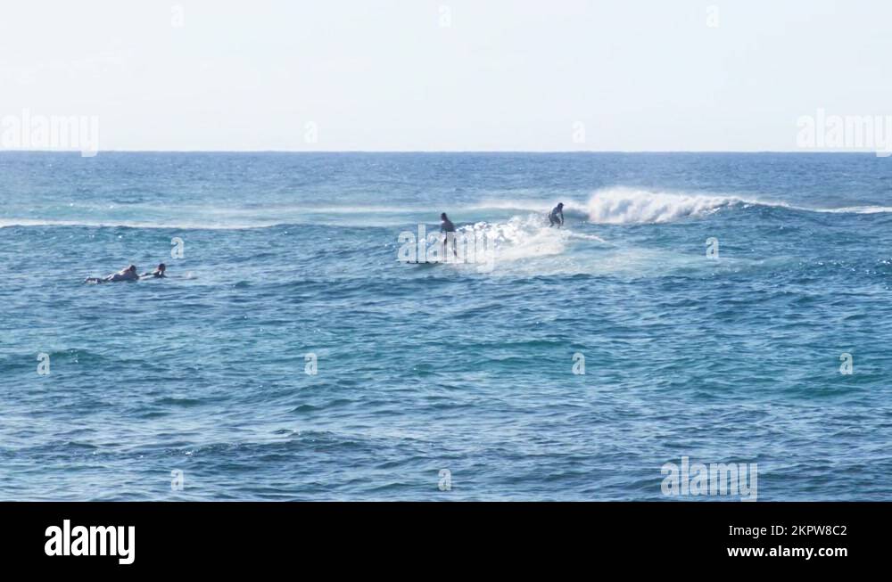 Water sport hawaii Stock Videos & Footage - HD and 4K Video Clips - Alamy