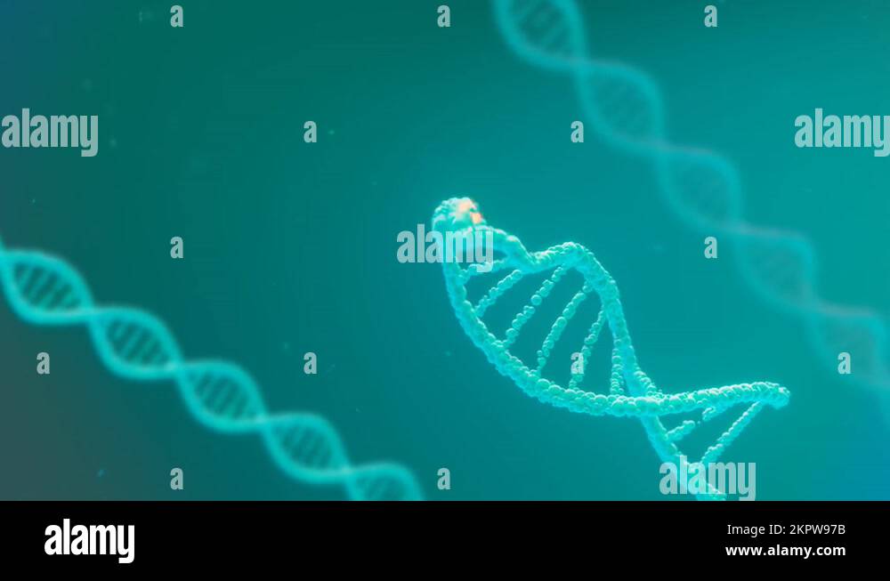 Building up the DNA double helix. Concept of molecular structure of ...