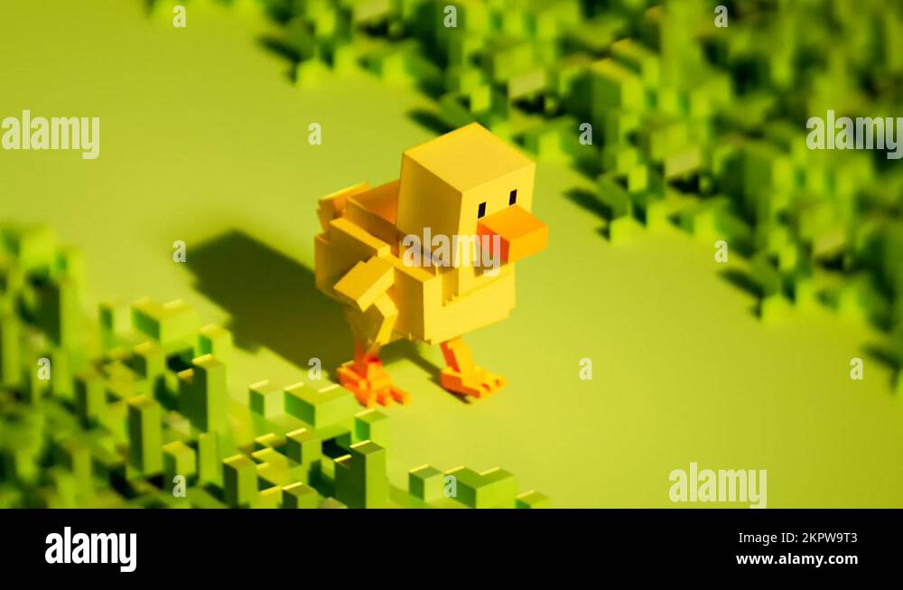 Voxel cute chicken Walking cycle on a grassy field. Seamless looping ...