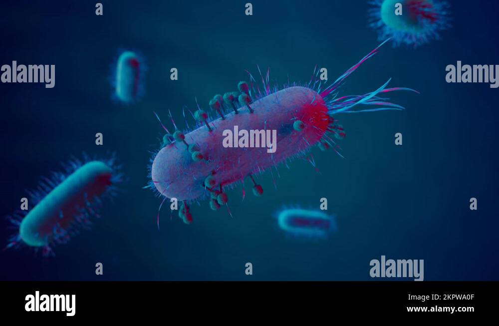 Cgi bacteria Stock Videos & Footage - HD and 4K Video Clips - Alamy