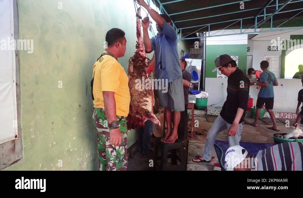 The process of removing the lamb skin, slaughter process, skinning ...