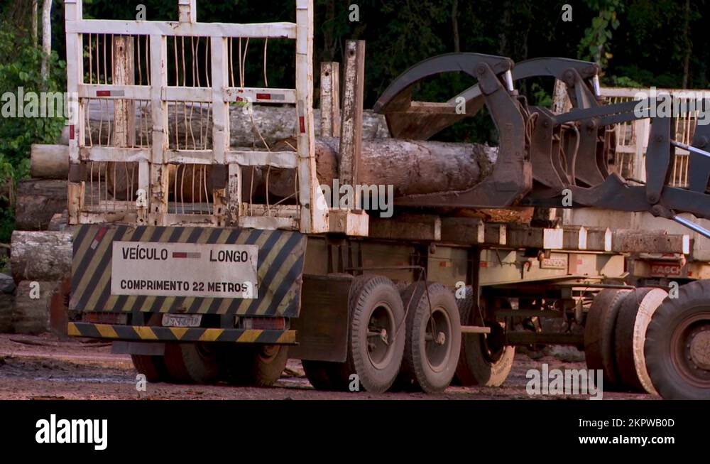 Protection from deforestation Stock Videos & Footage - HD and 4K Video ...