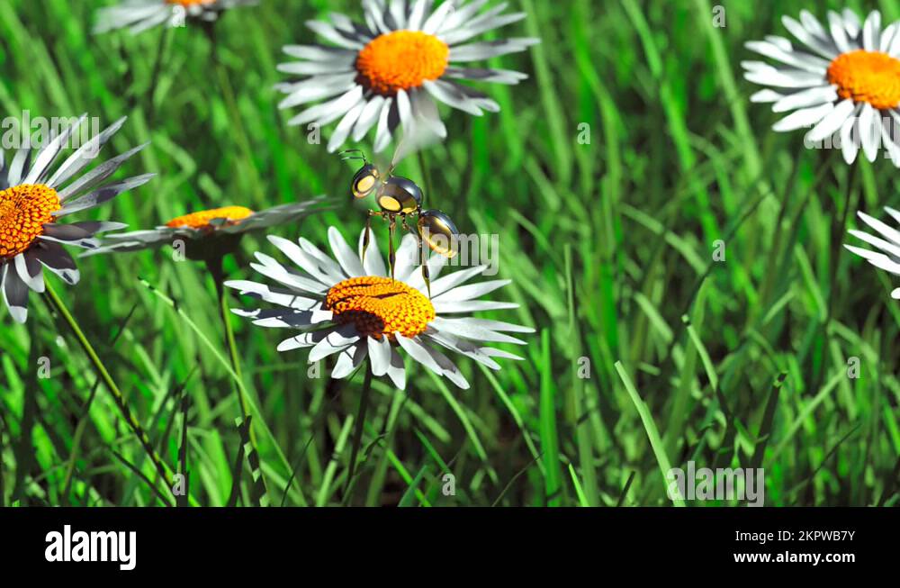 Robot bee flying on the meadow. Smart mechanical insect used in ...