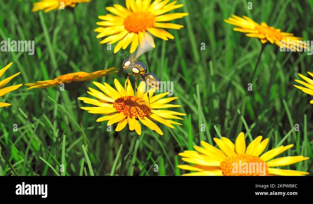 Robot bee flying on the meadow. Smart mechanical insect used in ...