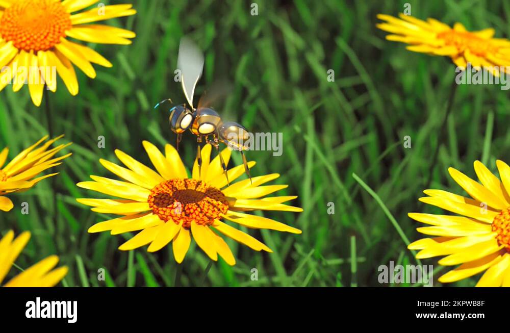 Robot bee flying on the meadow. Smart mechanical insect used in ...