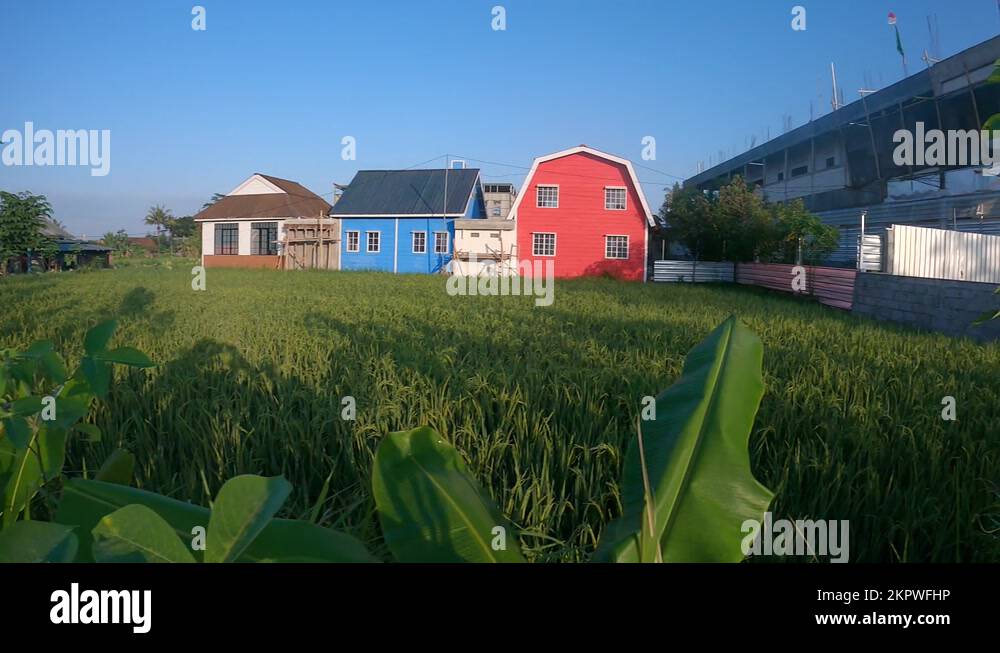 House building field style Stock Videos & Footage - HD and 4K Video ...