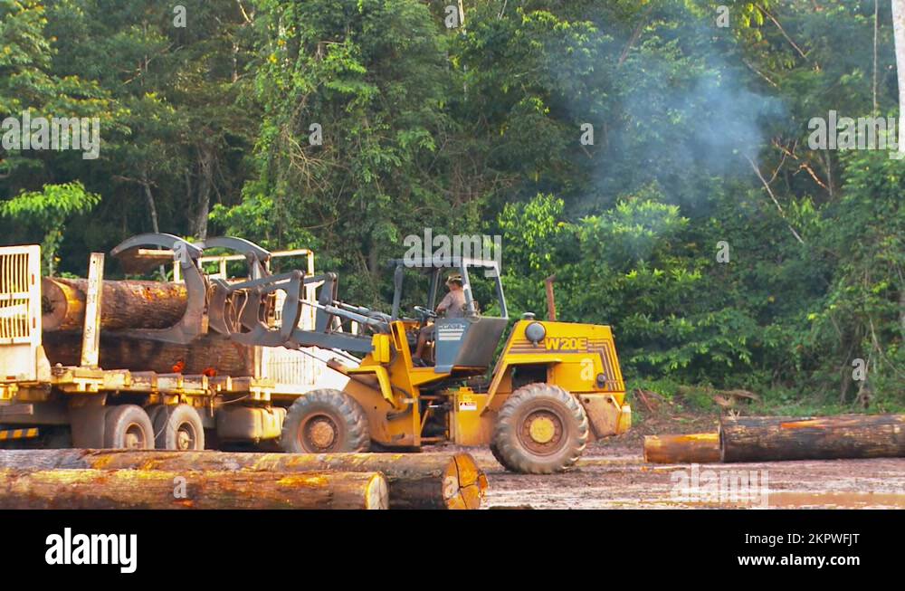 Stacking logs on a truck with a tractor loader; logging and ...