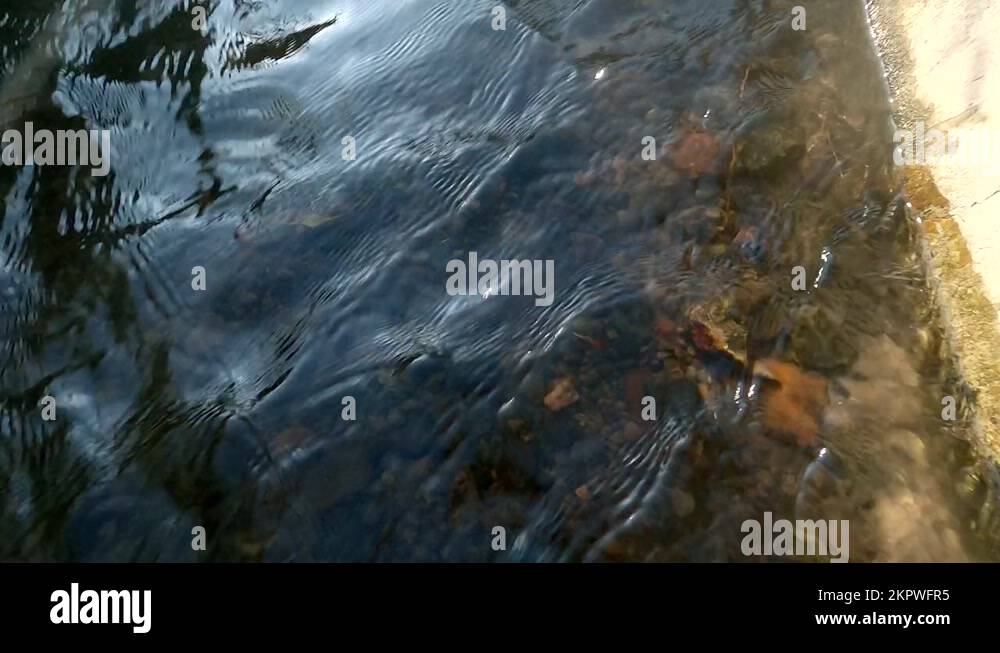 Clear water flow Stock Videos & Footage - HD and 4K Video Clips - Alamy