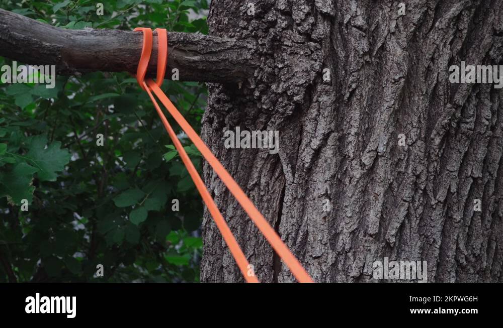 resistance band anchored to a tree and being stretched Stock Video ...