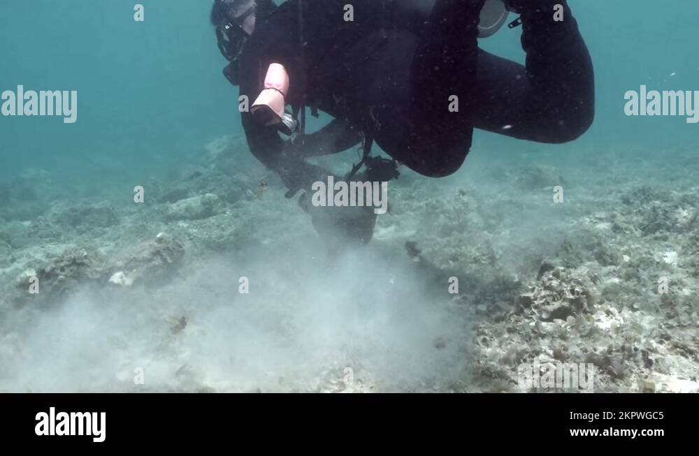 Scuba diver plastic pollution Stock Videos & Footage - HD and 4K Video ...