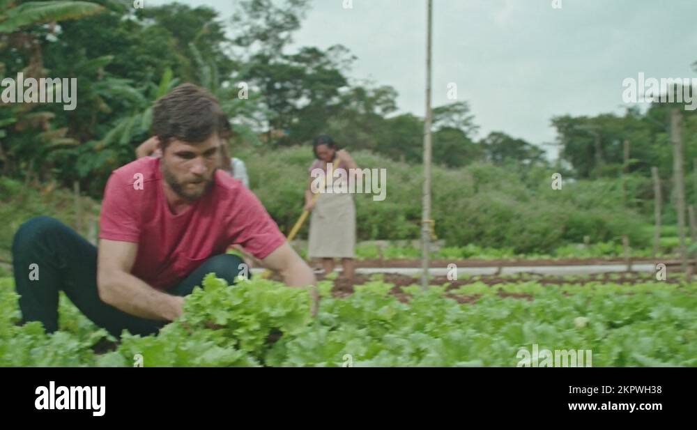 Urban food growing Stock Videos & Footage - HD and 4K Video Clips - Alamy