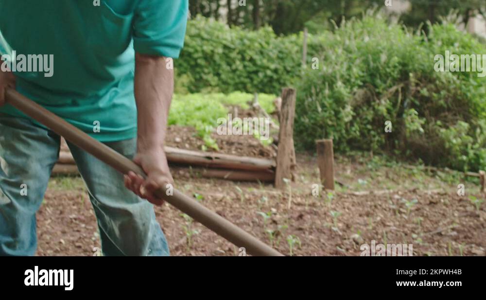 Hispanic man digging garden Stock Videos & Footage - HD and 4K Video ...