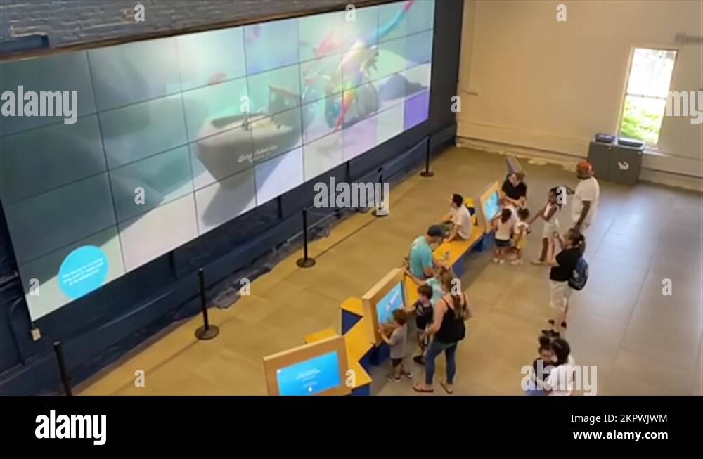 Looking at the 4D aquarium display at the Maritime Aquarium in Norwalk ...