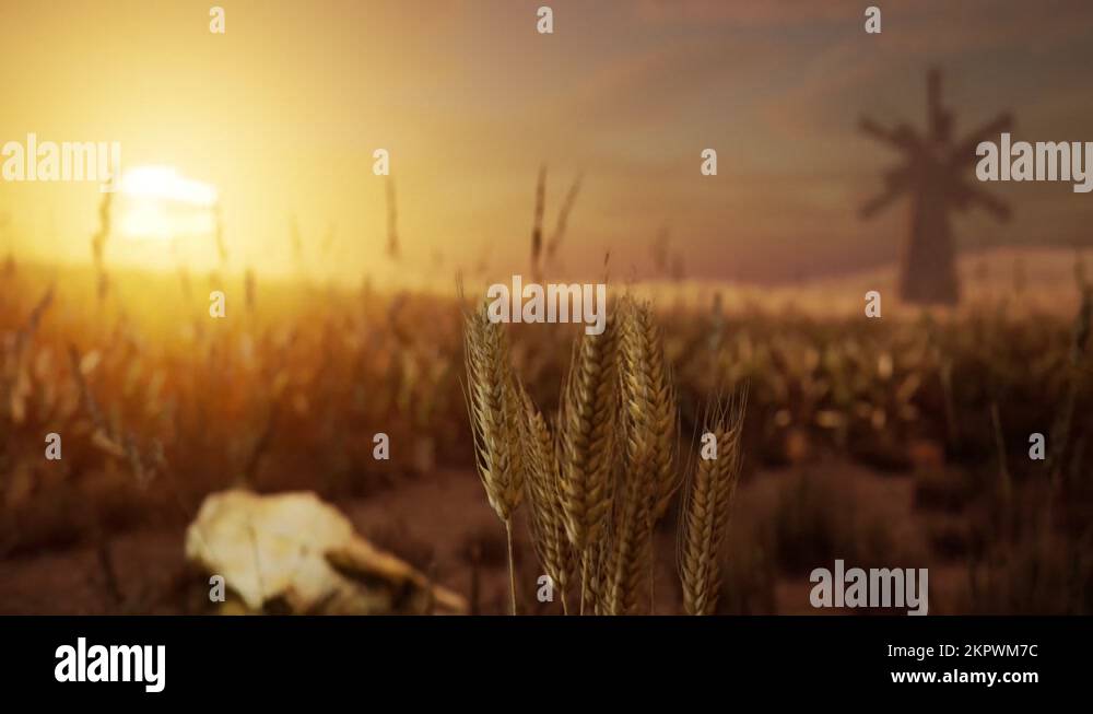 Drought and famine Stock Videos & Footage - HD and 4K Video Clips - Alamy