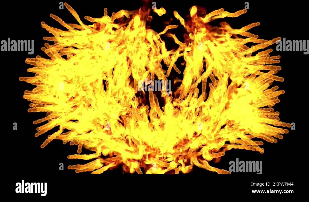 Fire fever Stock Videos & Footage - HD and 4K Video Clips - Alamy