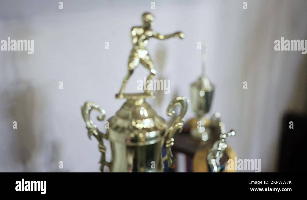 Boxing trophy championship Stock Videos & Footage - HD and 4K Video ...