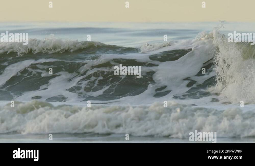 Green wave roll and break in slow motion on dutch beach in sunset glow ...