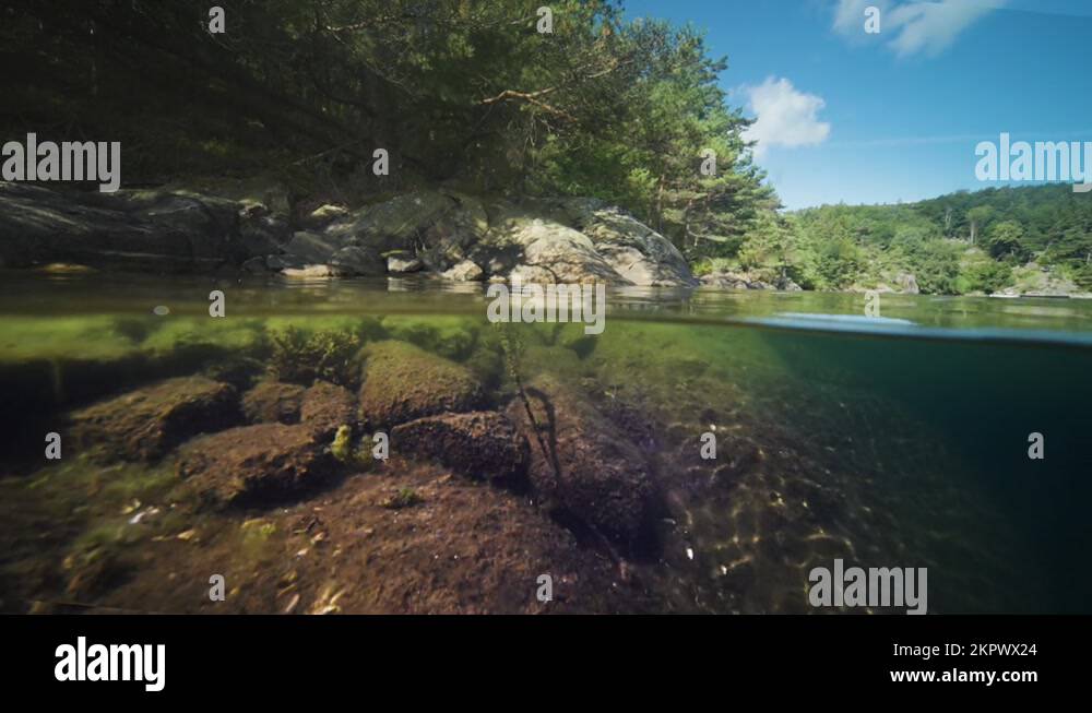 Split view sea Stock Videos & Footage - HD and 4K Video Clips - Alamy