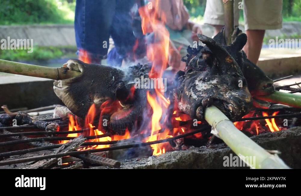 head of goat burned with fire from firewood. Eid al-Adha celebration in ...