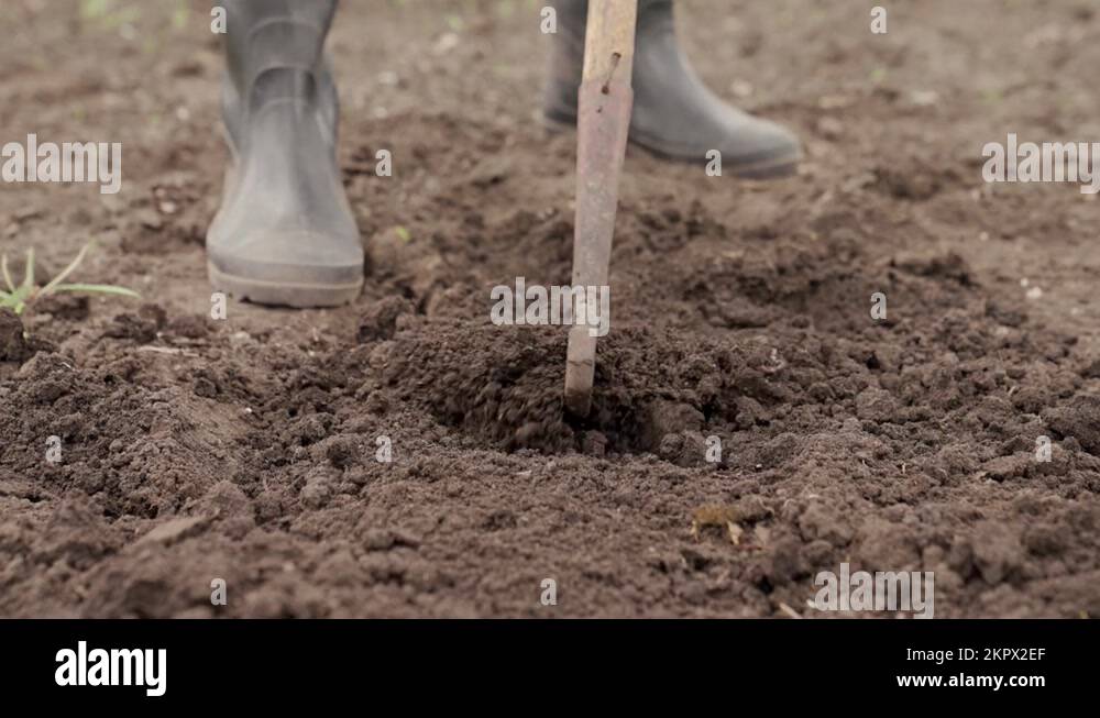 Hoe ground Stock Videos & Footage - HD and 4K Video Clips - Alamy