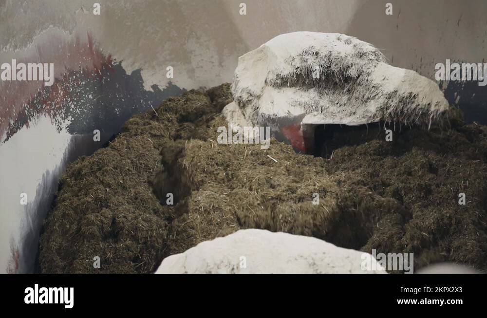 Mixed farming system Stock Videos & Footage - HD and 4K Video Clips - Alamy
