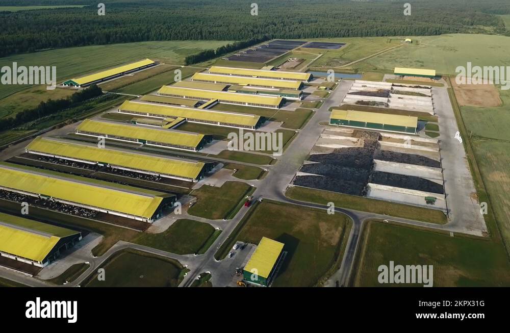 Large production areas on a livestock farm. Hangars and silos are ...
