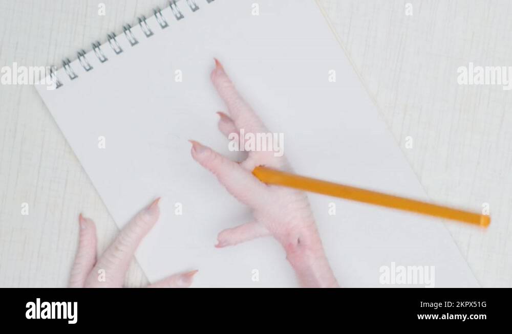 Illegible handwriting Stock Videos & Footage - HD and 4K Video Clips ...