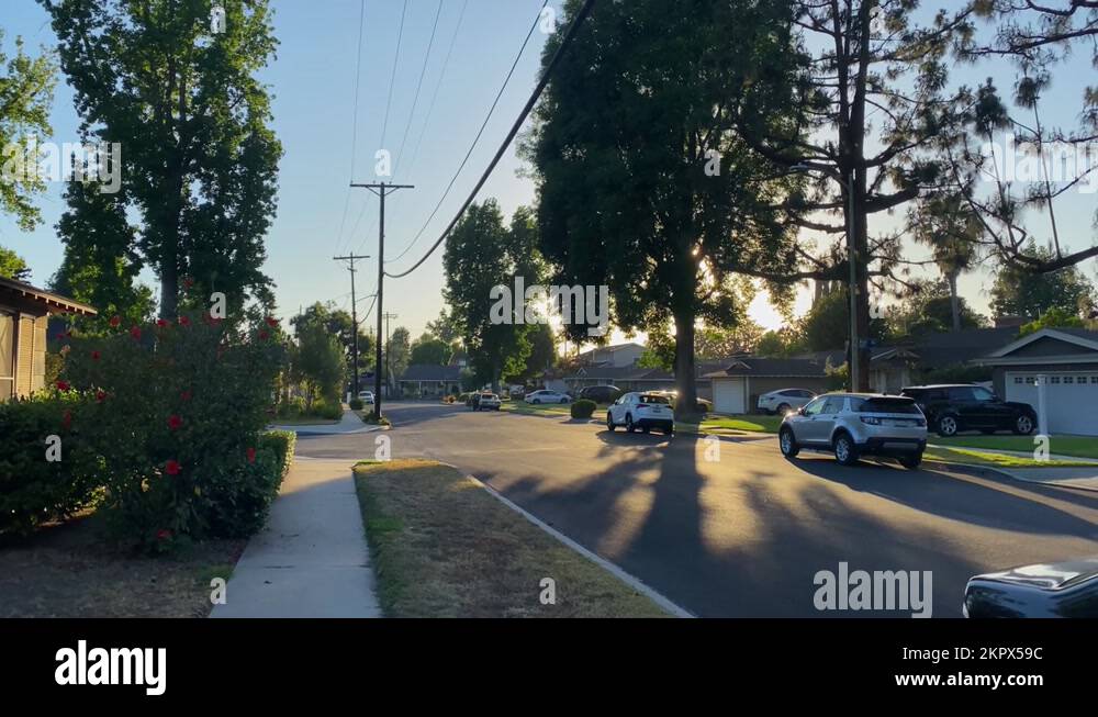 Cars Parked On The Street In A Neighborhood In Los Angeles, California ...