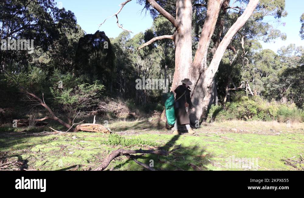 Australian stockman Stock Videos & Footage - HD and 4K Video Clips - Alamy