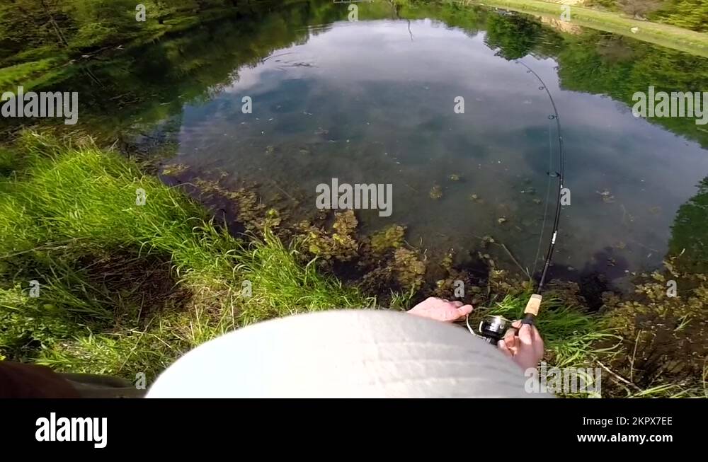 Angling fish Stock Videos & Footage - HD and 4K Video Clips - Alamy